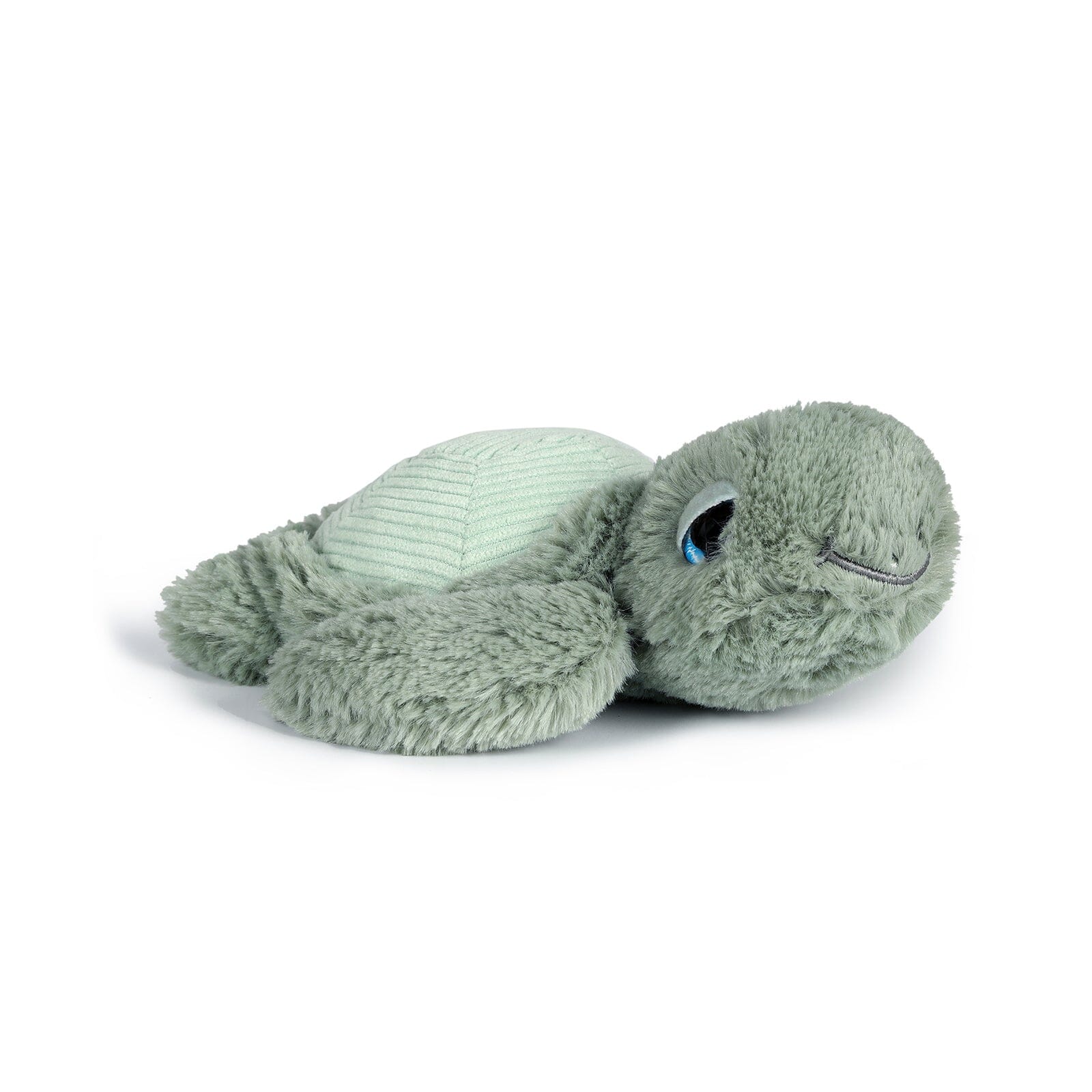 LITTLE TYLER TURTLE SOFT TOY – Bird and Bay